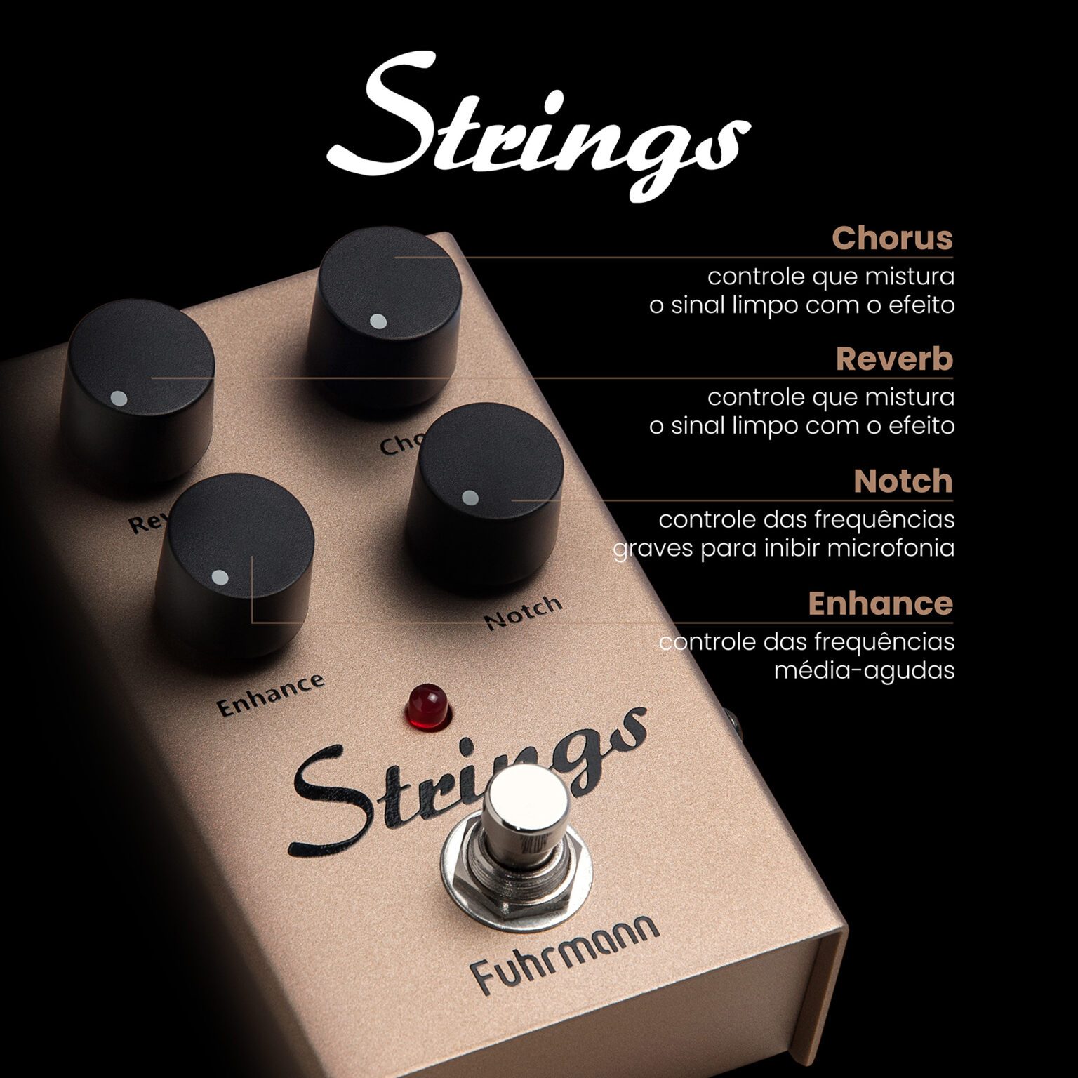 Strings - Fuhrmann Store